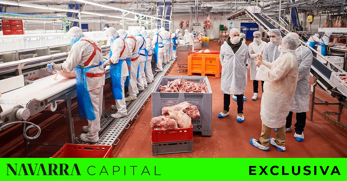 Cárnicas Iruña proyecta construir un matadero en Lumbier
